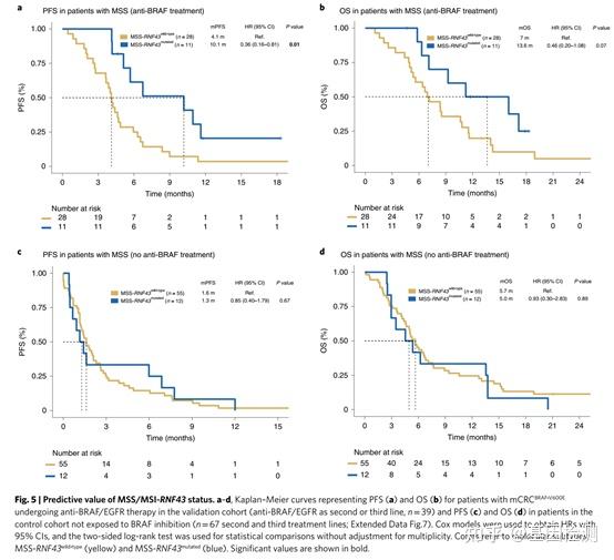 RNF43突变预测BRAF V600E转移性结直肠癌对抗BRAF/EGFR联合治疗的反应 - 知乎