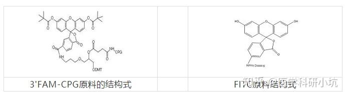 引物的设计及修饰最全教程 - 知乎