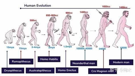 丹布朗知识性悬疑小说《本源》：91 - 知乎